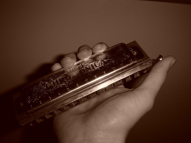 Les 5 Meilleurs Harmonicas Diatoniques (Classement et Comparatif)
