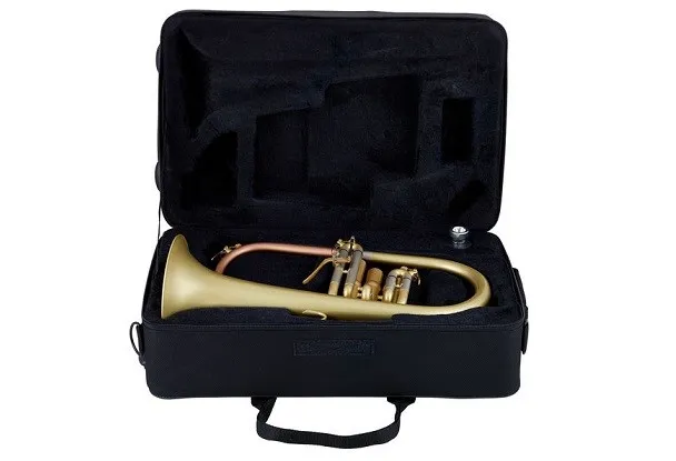 Les 7 Meilleurs Bugles (à Pistons ou à Palettes) - Comparatif