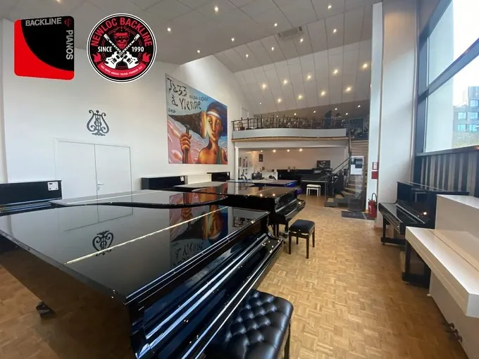 Les 15 Meilleurs Magasins d'Instruments de Musique à Lyon