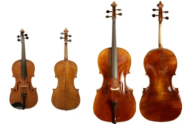 Violon ou Violoncelle : Quelles sont les Différences ? (Comparaison)