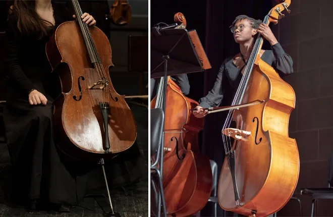Violoncelle vs Contrebasse : Quelles Sont les Différences