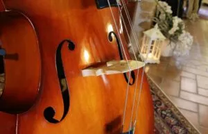Violoncelle vs Contrebasse : Quelles Sont les Différences