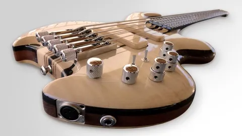 Les 7 Meilleures Basses 5 Cordes pour Tous les Styles (Comparatif)