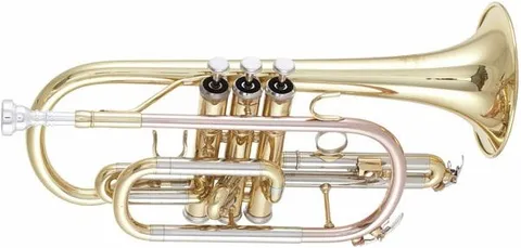Les 5 Meilleurs Cornets à Pistons (Comparatif)