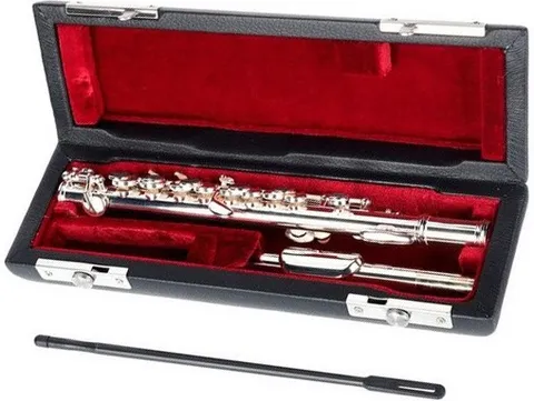 Les 9 Meilleures Flûtes Piccolos (Comparatif)