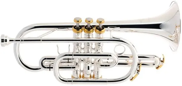 Les 5 Meilleurs Cornets à Pistons (Comparatif)