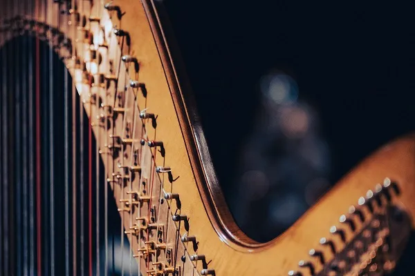 Combien de Cordes a une Harpe ? Tout Savoir sur le Nombre et la Disposition