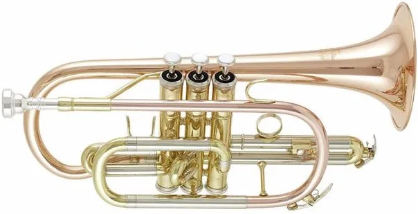 Les 5 Meilleurs Cornets à Pistons (Comparatif)