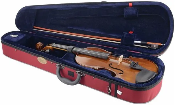 Les 7 Meilleurs Violons pour Débutant (Comparatif)