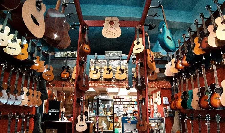 Les 10 Meilleurs Magasins d'Instruments de Musique de Bordeaux