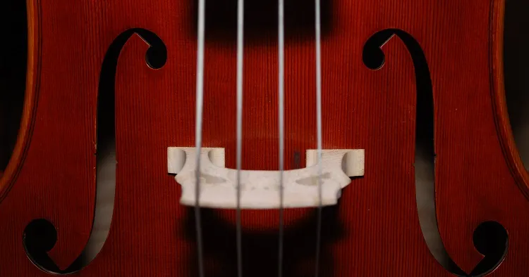 Violoncelle vs Contrebasse : Quelles Sont les Différences