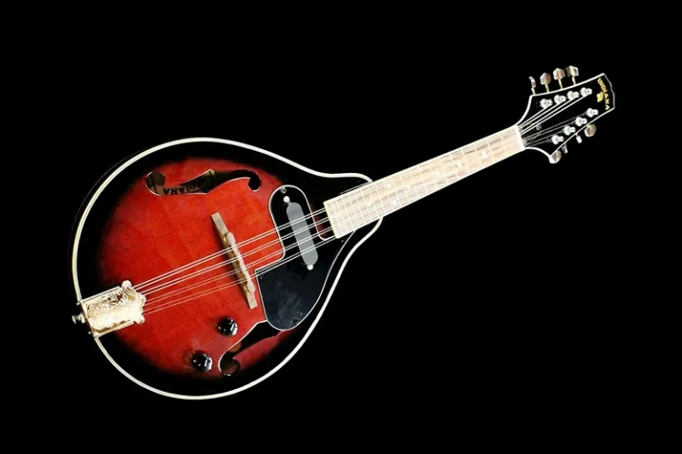 Les 10 Meilleures Mandolines (Comparatif Instrument de Musique)