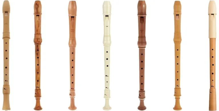 Les 7 Meilleures Flûtes à Bec Altos (Comparatif)