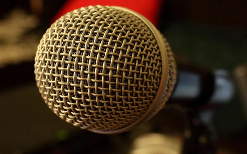 Les 5 Meilleurs Micros Dynamiques pour le Chant (Scène ou Studio)