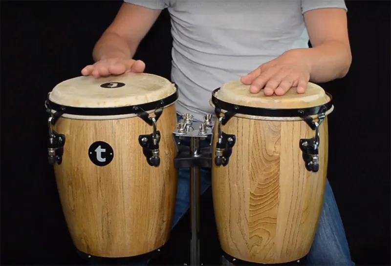 Les 7 Meilleures Congas du Moment (Comparatif)
