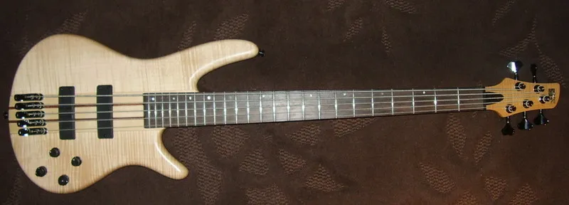 Les 7 Meilleures Basses 5 Cordes pour Tous les Styles (Comparatif)