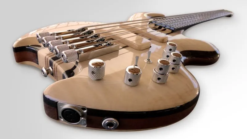 Les 7 Meilleures Basses 5 Cordes pour Tous les Styles (Comparatif)
