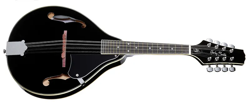 Les 10 Meilleures Mandolines (Comparatif Instrument de Musique)