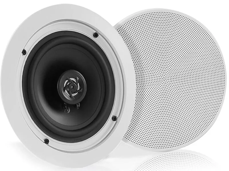 Violoncelle vs Contrebasse : Quelles Sont les Différences