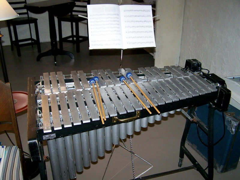 Les 7 Meilleurs Vibraphones du Moment (Comparatif)