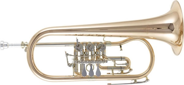 Les 7 Meilleurs Bugles (à Pistons ou à Palettes) - Comparatif