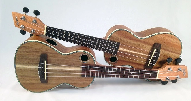 Quel Ukulélé Choisir pour Bien Débuter ? (Guide d'Achat)