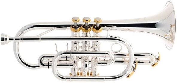 Les 5 Meilleurs Cornets à Pistons (Comparatif)