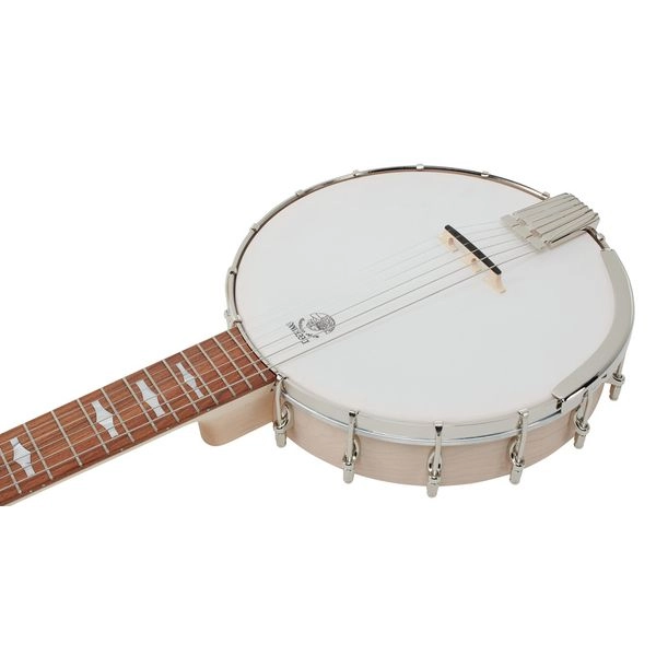 Les 6 Meilleurs Banjos 6 cordes (Comparatif)