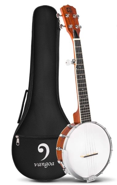 Les 6 Meilleurs Banjos 6 cordes (Comparatif)