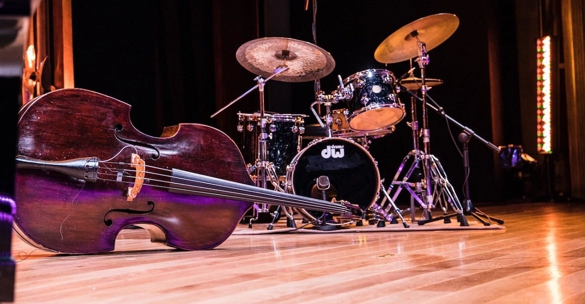 Les 5 Meilleures Contrebasses pour le Jazz (Comparatif)