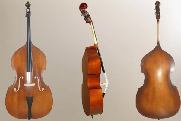 Basse ou Contrebasse : Quelles sont les Différences ? (Comparaison)