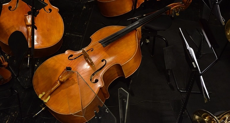 Violoncelle vs Contrebasse : Quelles Sont les Différences