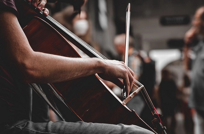 Violoncelle vs Contrebasse : Quelles Sont les Différences