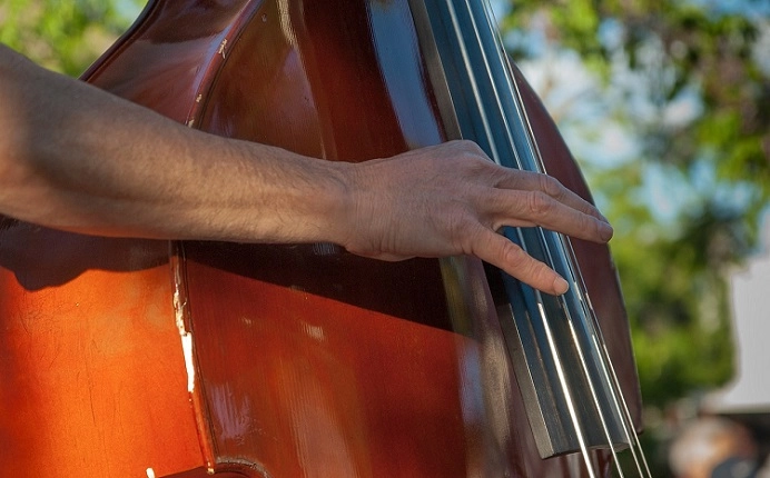 Violoncelle vs Contrebasse : Quelles Sont les Différences