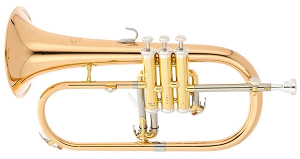 Les 7 Meilleurs Bugles (à Pistons ou à Palettes) - Comparatif