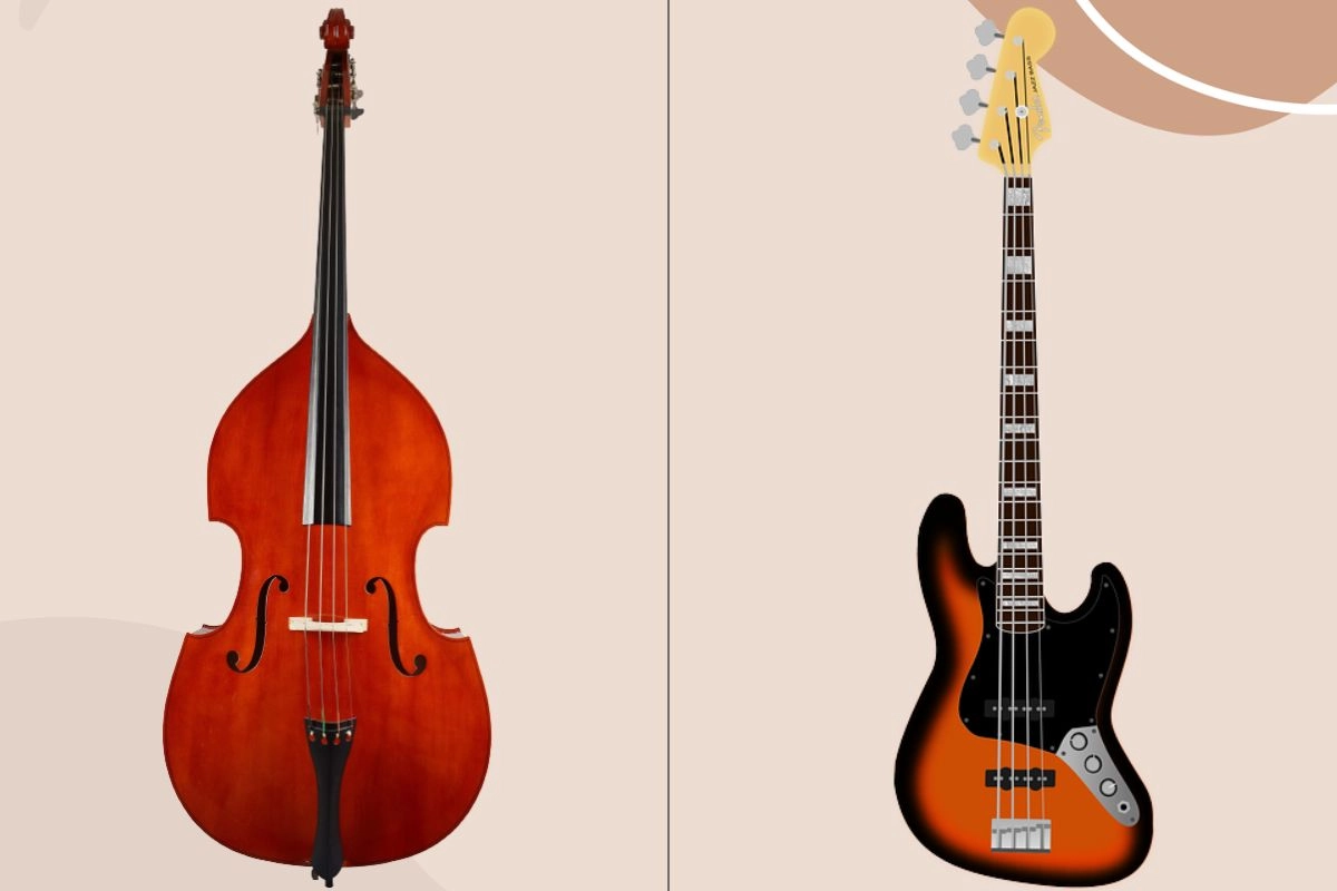 Basse ou Contrebasse : Quelles sont les Différences ? (Comparaison)