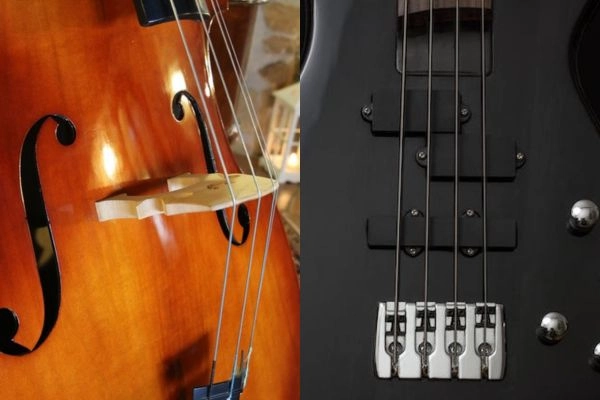 Basse ou Contrebasse : Quelles sont les Différences ? (Comparaison)